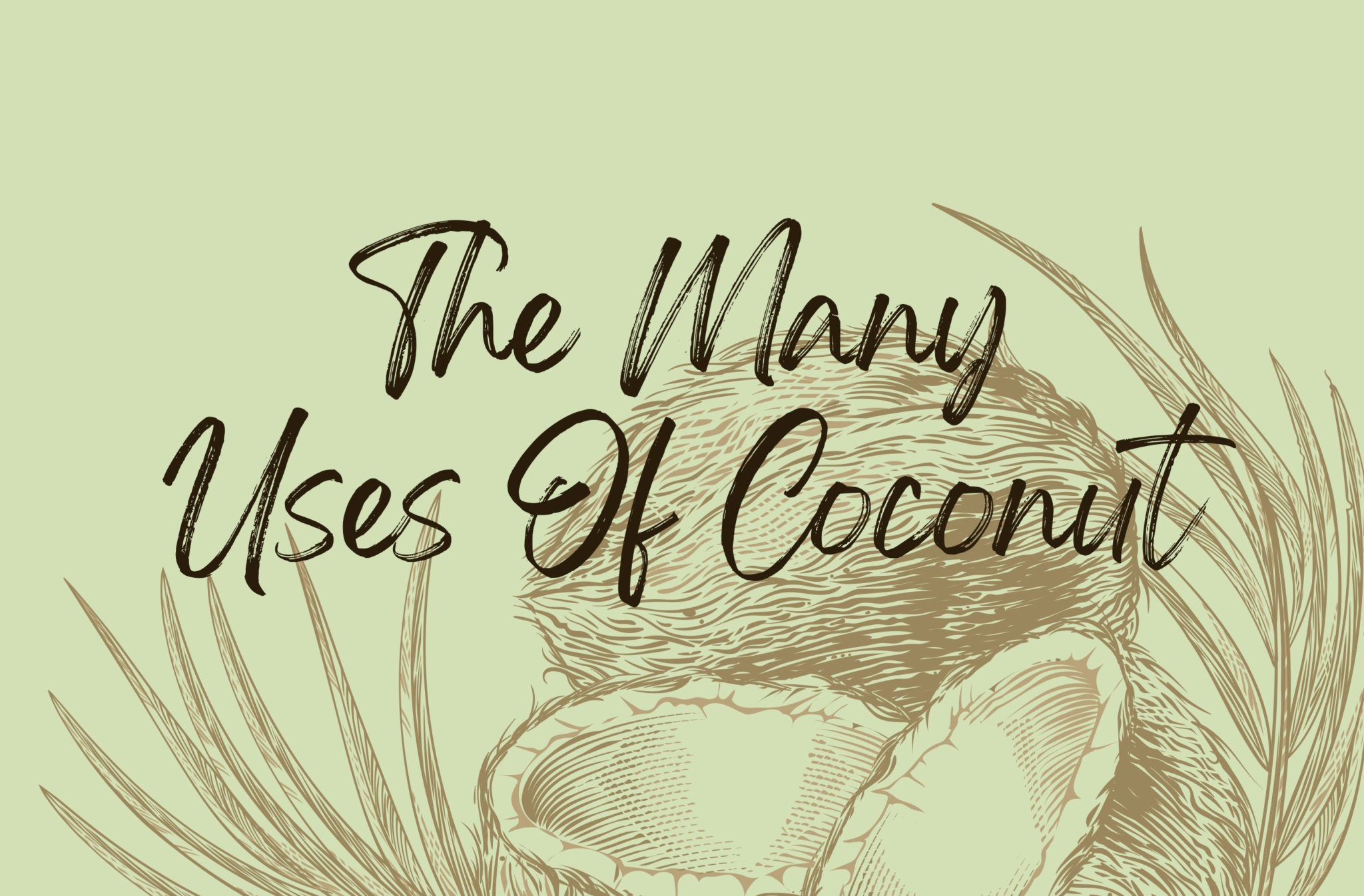 The Many Uses of Coconut | WholeLife