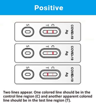 Rapid Antigen Tests | WholeLife