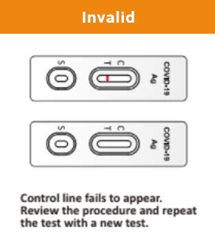 Rapid Antigen Tests | WholeLife