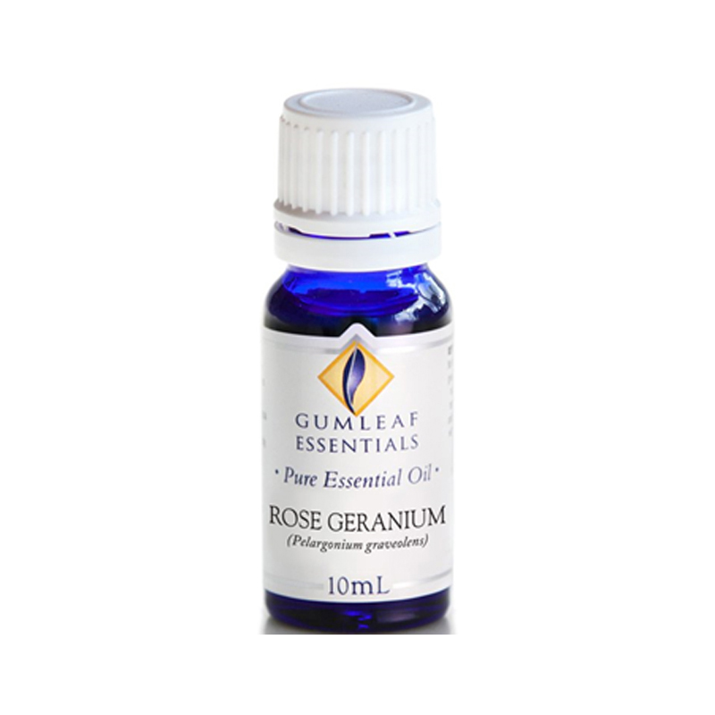 Rose Geranium Essential Oil 10ml | WholeLife